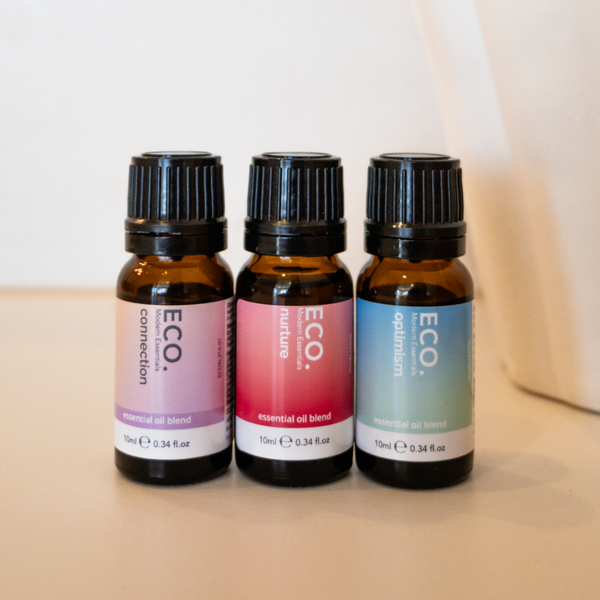 Clean Slate Trio