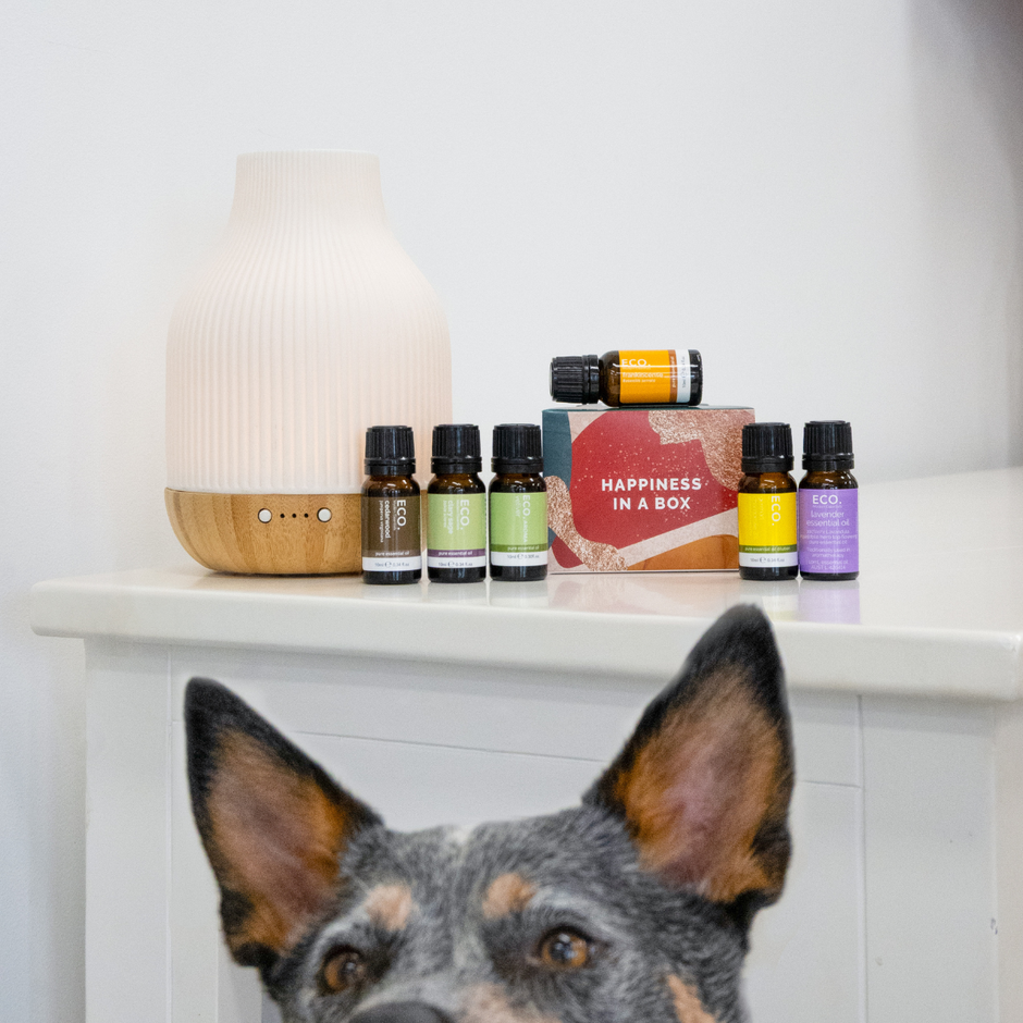 Pet Safe Essential Oils