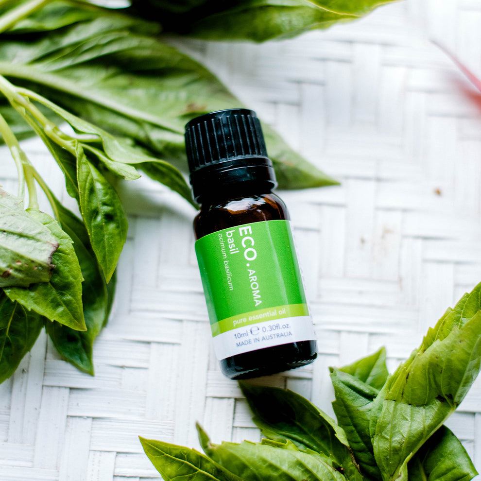 Basil Pure Essential Oil